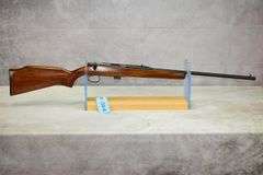 220+ Guns, Mounts and More - Kaufman Realty & Auctions