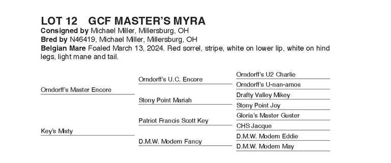 GCF MASTER’S MYRA / Weanling Belgian Filly - Kaufman Realty & Auctions