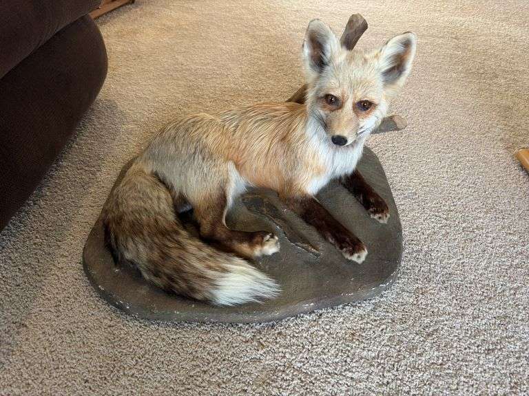 Fox mount - Kaufman Realty & Auctions