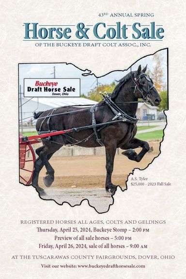 Buckeye Draft Horse & Colt Sale - Kaufman Realty & Auctions