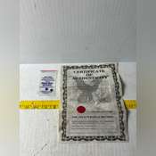 Black Star of India Gem 1 Carat Kaufman Realty Auctions