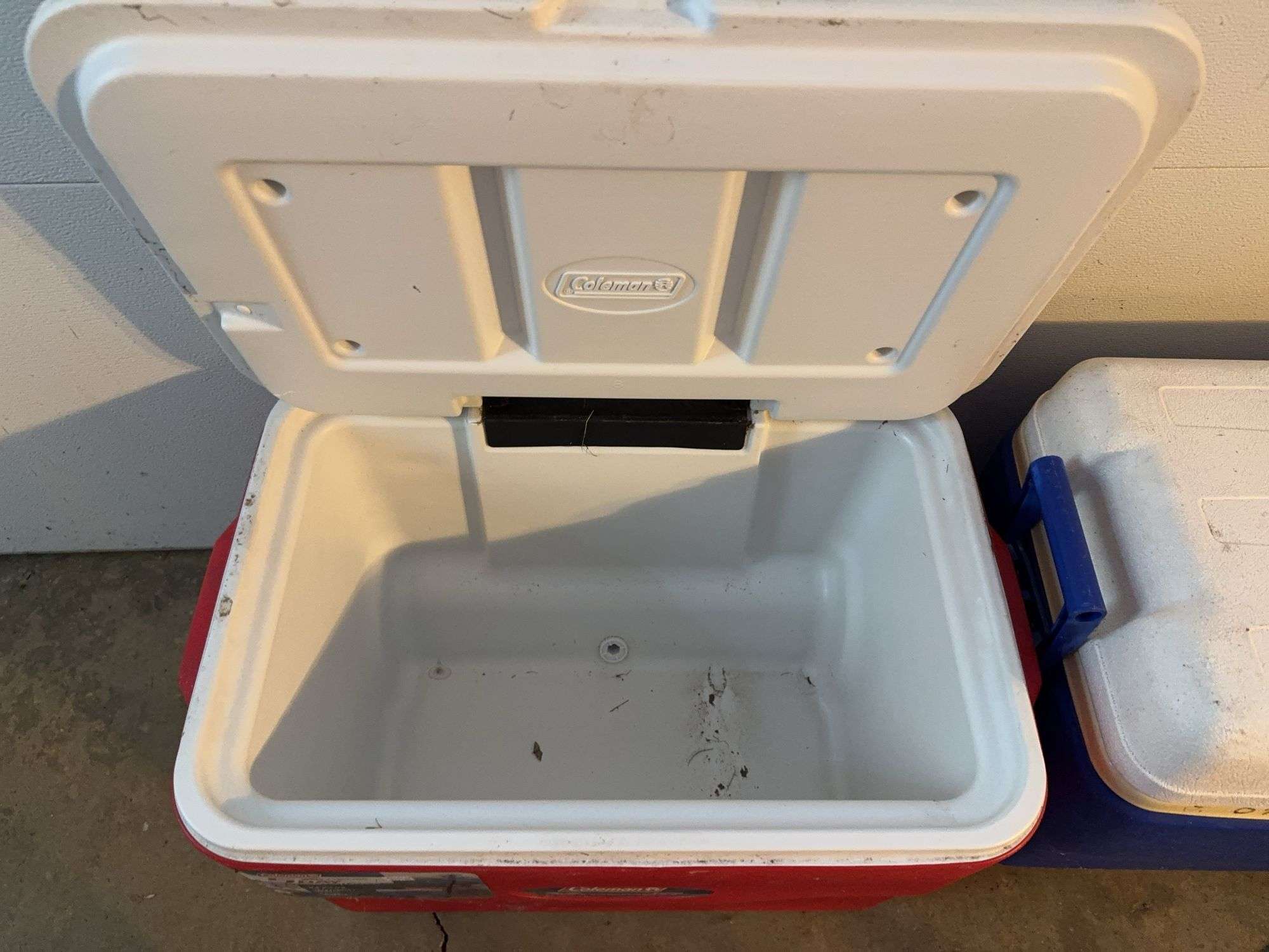 Coleman, Igloo Ice Chests - Kaufman Realty & Auctions