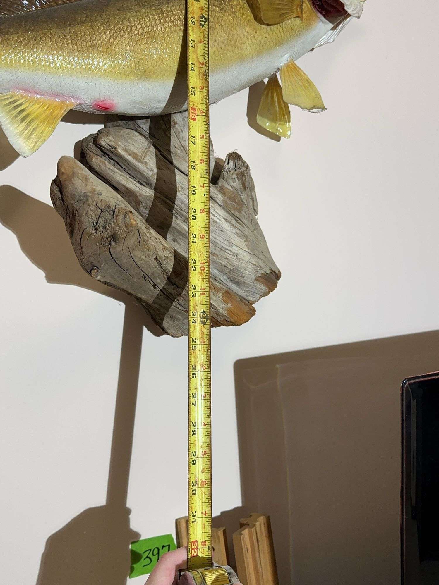 MOUNTED WALLEYE - Kaufman Realty & Auctions