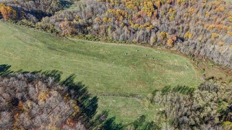 Parcel 5: 26.01 acres. Open and wooded. 60’ frontage on TR 127 ...