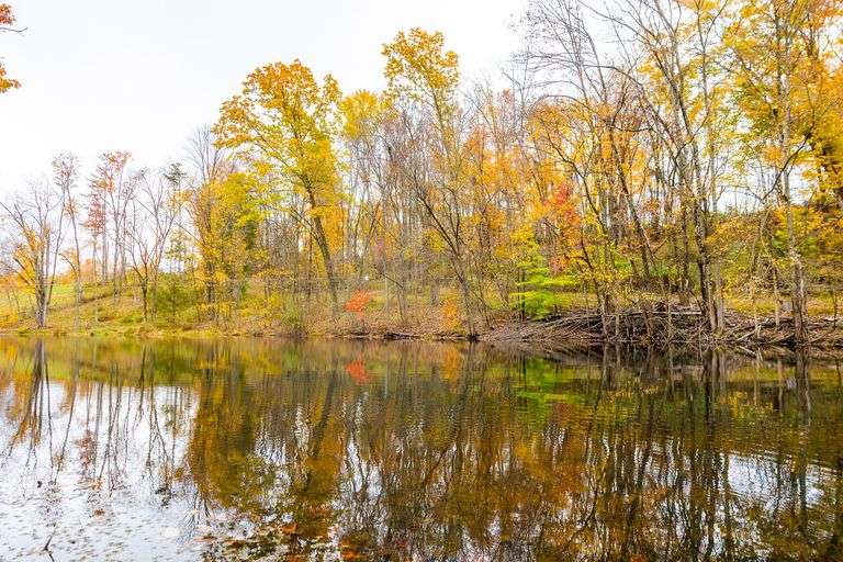 Wooster Home on 12 Acres - Kaufman Realty & Auctions