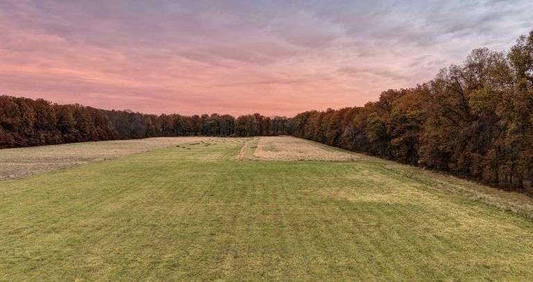 Parcel 2, 25 Acres, Sold by the Acre x 25 - Kaufman Realty & Auctions