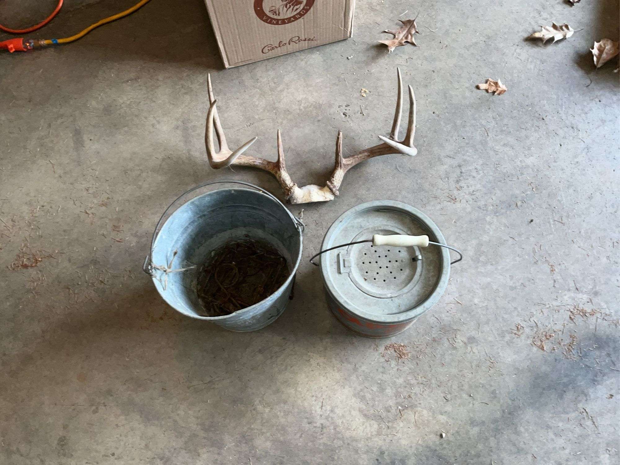 Minnow bucket, eight point buck, traps - Kaufman Realty & Auctions