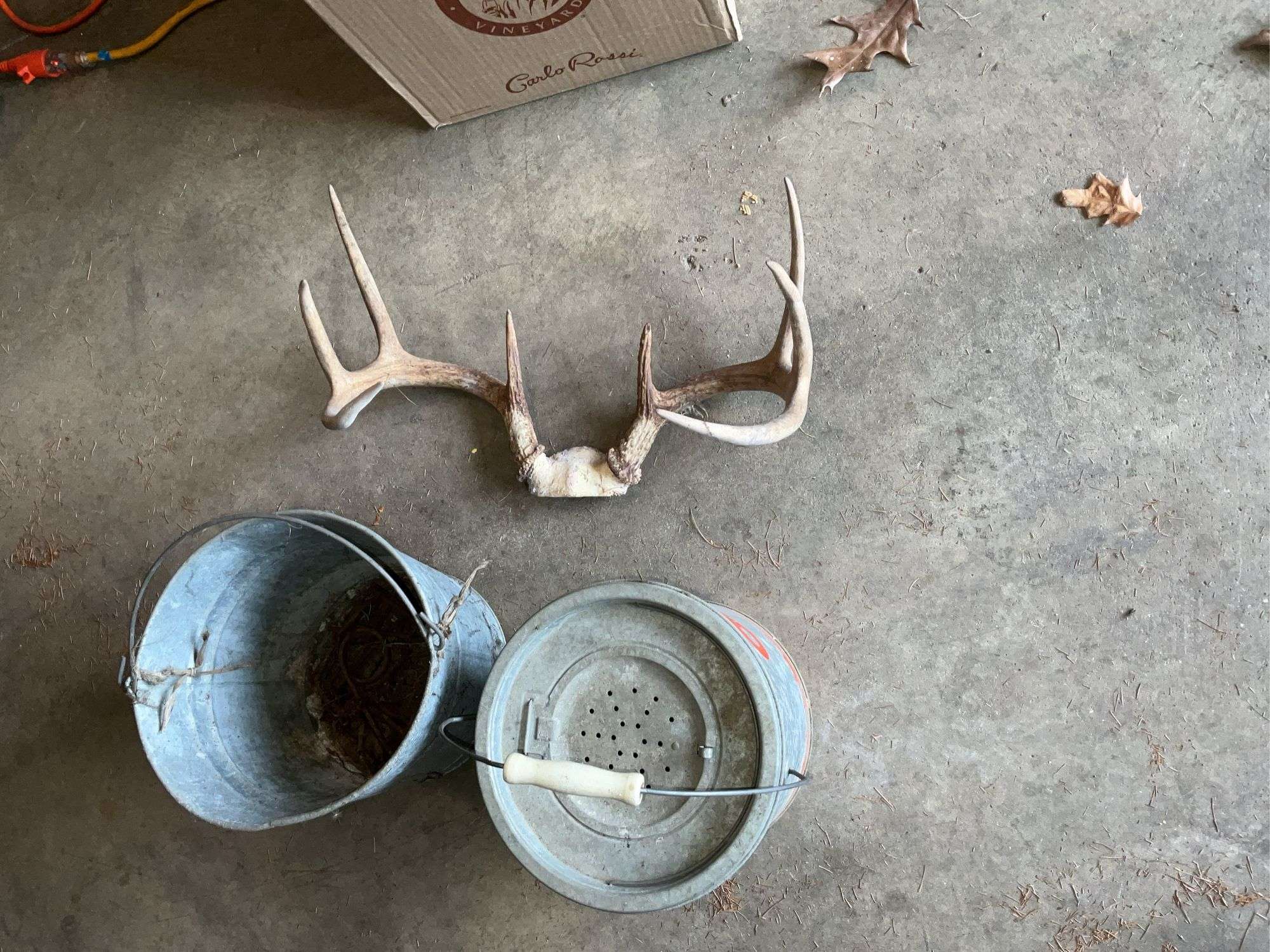 Minnow bucket, eight point buck, traps - Kaufman Realty & Auctions