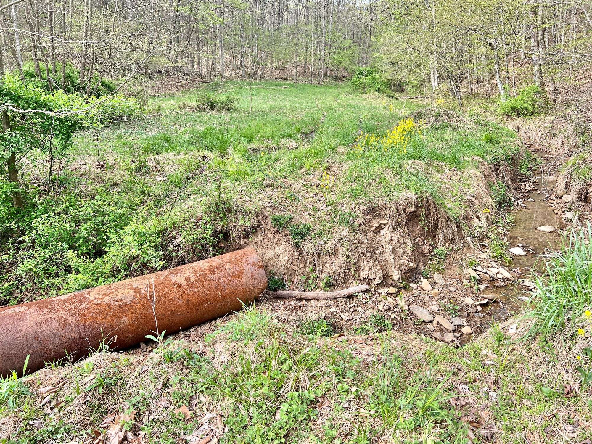 20 +/- Acre Clay County WV Land - Kaufman Realty & Auctions