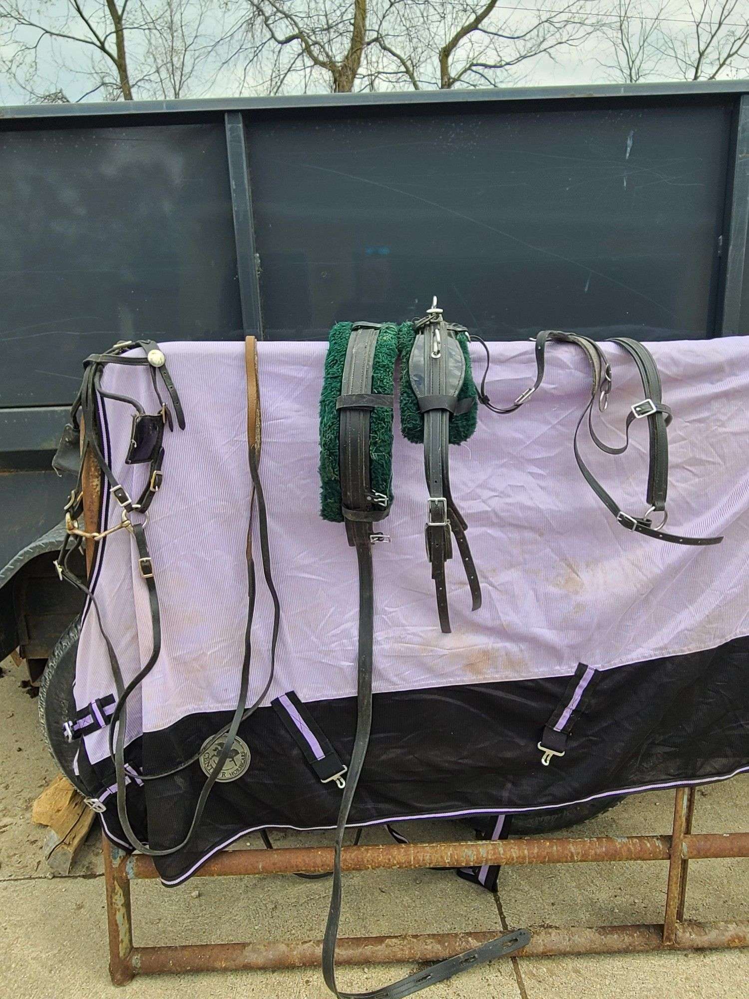 Show Driving Harness and Bridle, Pony Size with extra reins and pads ...