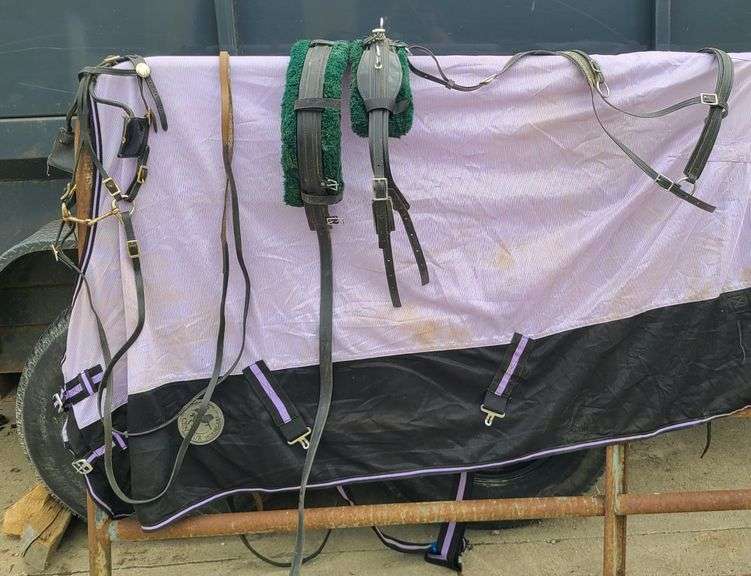 Show Driving Harness and Bridle, Pony Size with extra reins and pads ...