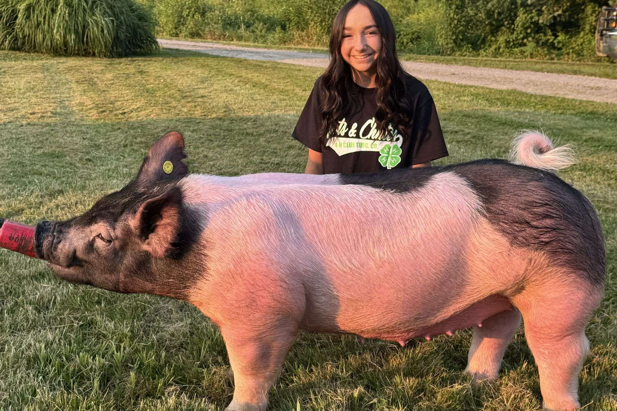 Watkins, Whitney - Kaufman Realty & Auctions